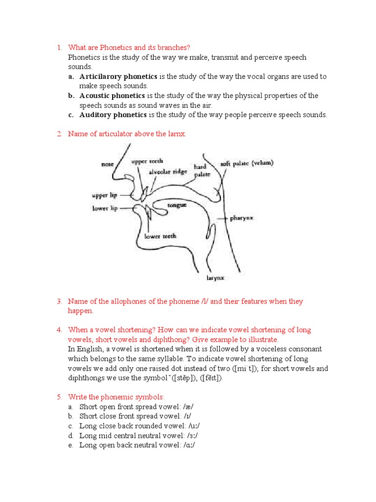 An In-Depth Exploration of Phonetics and Phonetic Transcription | PDF ...