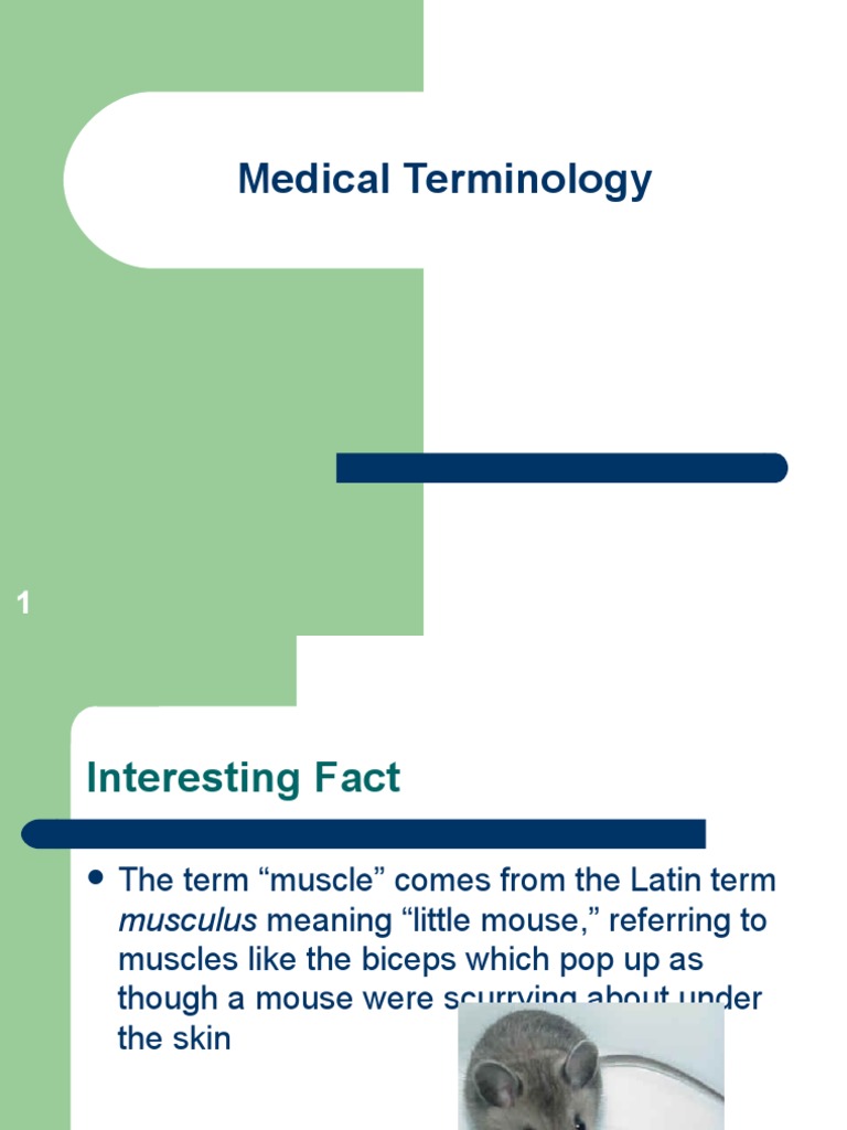 Medical Terminology Lecture 1 | PDF | Anatomical Terms Of Location ...