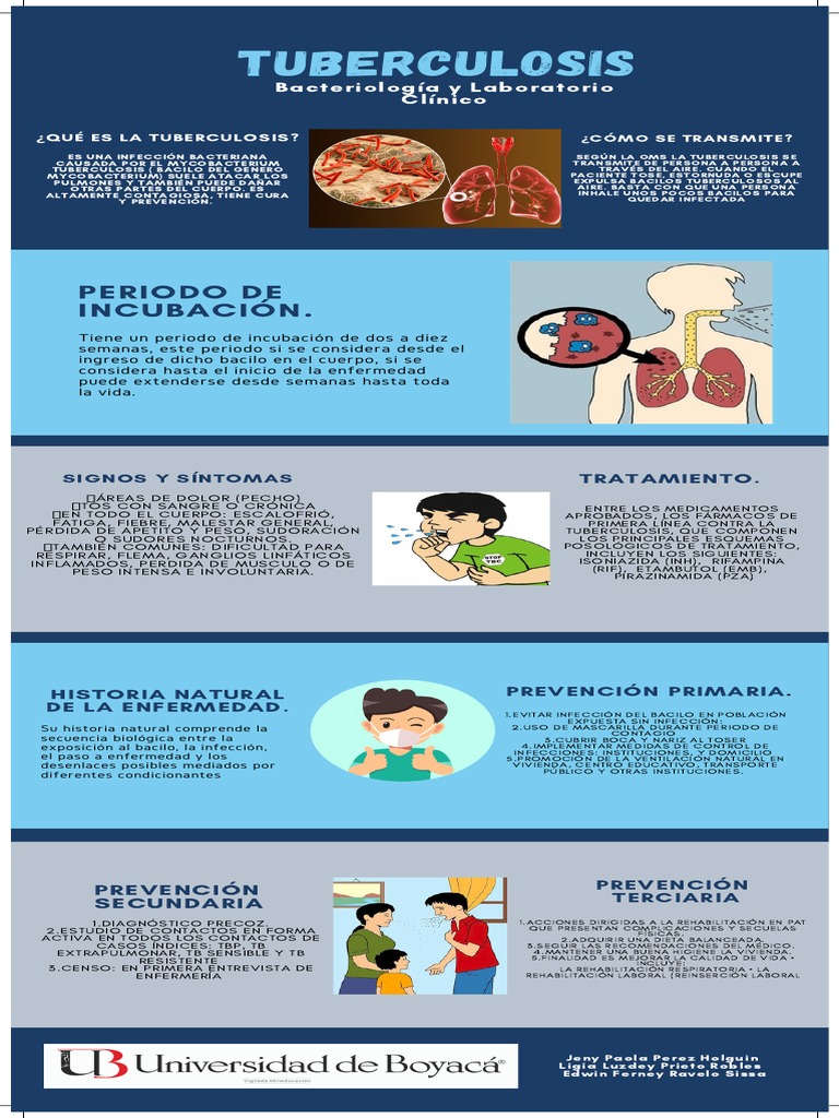 Infografia Tuberculosis | PDF | Tuberculosis | Microbiología