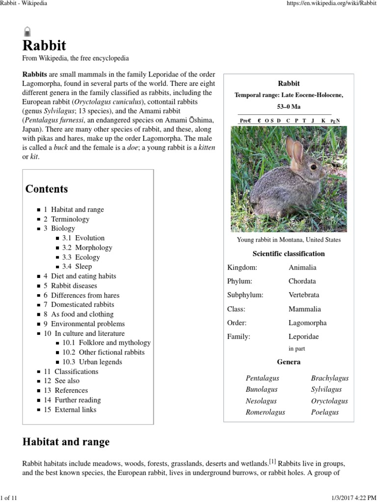 Rabbit Rabbits Are Small Mammals in The Family Leporidae of The Order | PDF | Rabbit | Lagomorphs