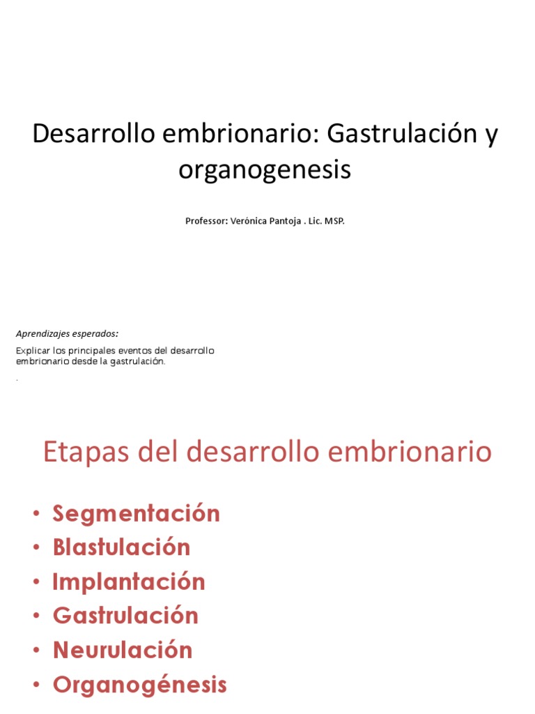 Gastrulación y Organogénesis Embrionaria | PDF | Biología del ...