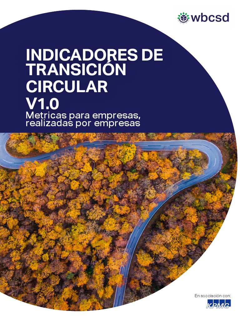 Guía Indicadores de Transición Circular (CTI) V1.0 | PDF | Empresas ...