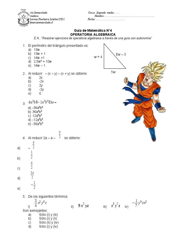 Guia4 Operatoria Algebraica | PDF | Enseñanza de matemática