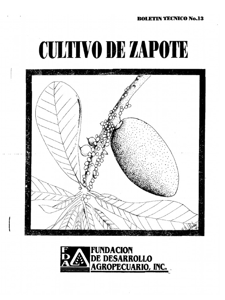 Zapote | PDF
