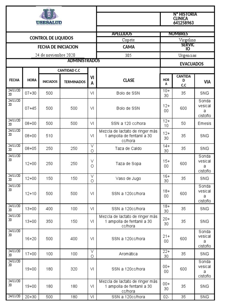 Control de Liquidos Formato-Final | PDF