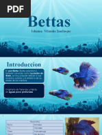 Anatomía de Aletas en Peces | PDF | Cordados | Pescado