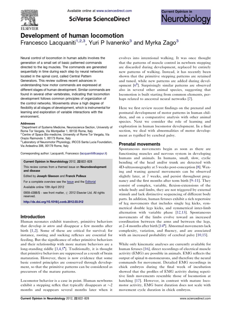 Development of Human Locomotion | PDF | Motor Neuron | Neural Oscillation