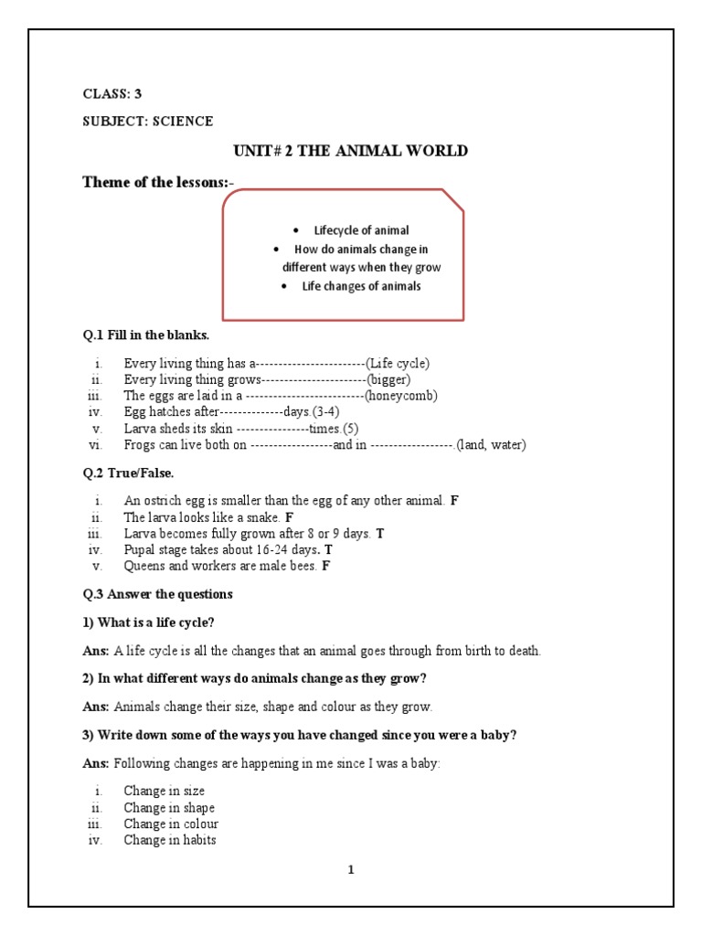 Unit# 2 The Animal World Theme of The Lessons | PDF | Photosynthesis ...