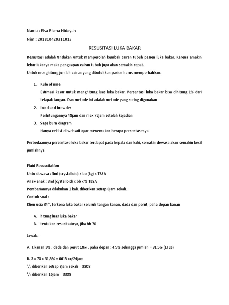013 - Elsa Risma - Resume Resusitasi Luka Bakar | PDF | Pengembangan ...