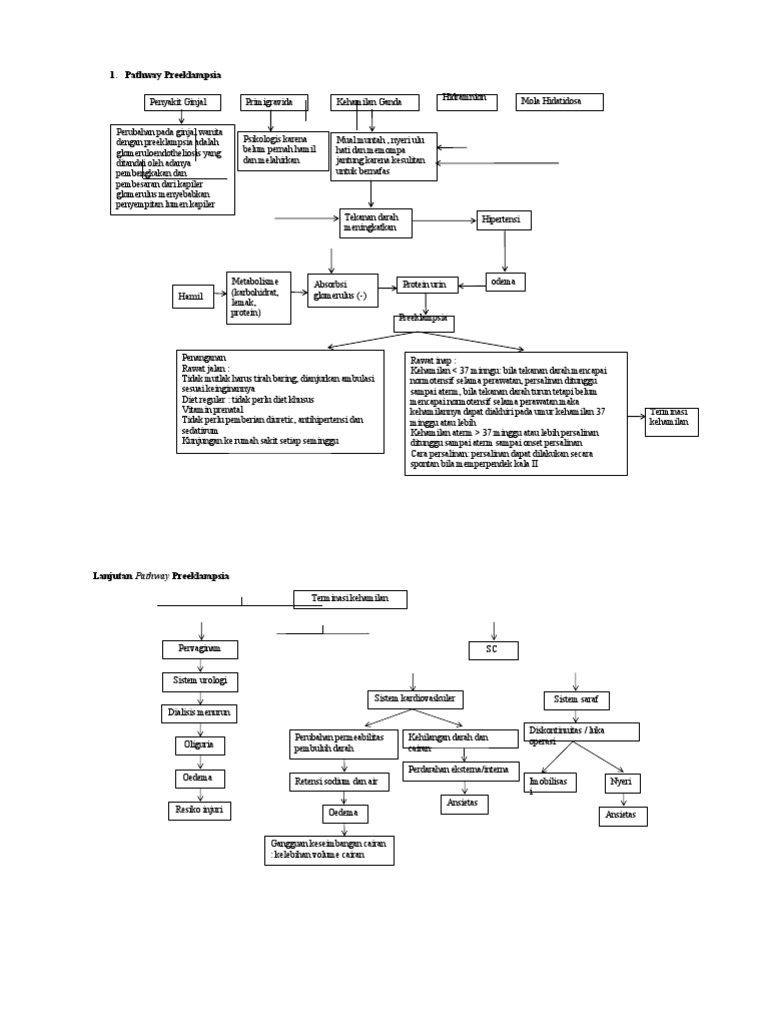 Pathway Preeklampsia | PDF