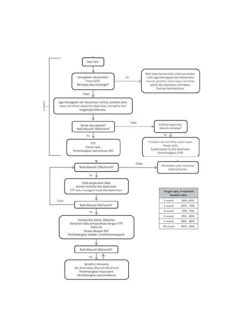 Resusitasi Neonatus | PDF