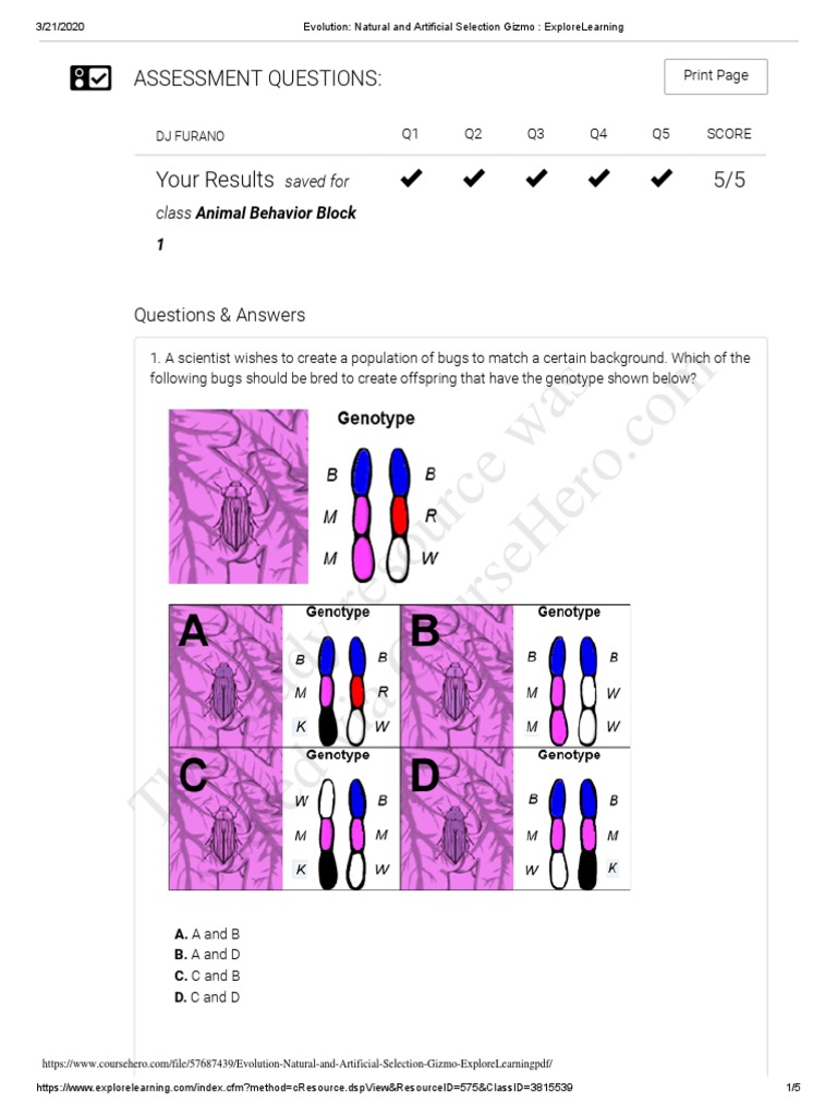 This Study Resource Was: Your Results 5/5 | PDF | Natural Selection ...