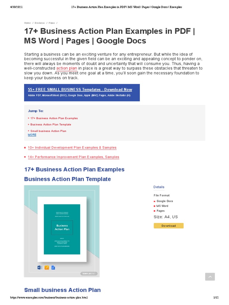 17+ Business Action Plan Examples in PDF - MS Word - Pages - Google ...