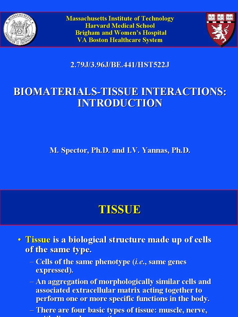 Biomaterials - Tissue Interactions | PDF | Tissue Engineering ...