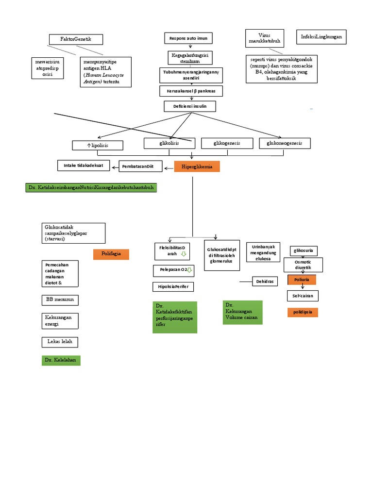 Patofisiologi Diabetes Juvenil pada Anak | PDF