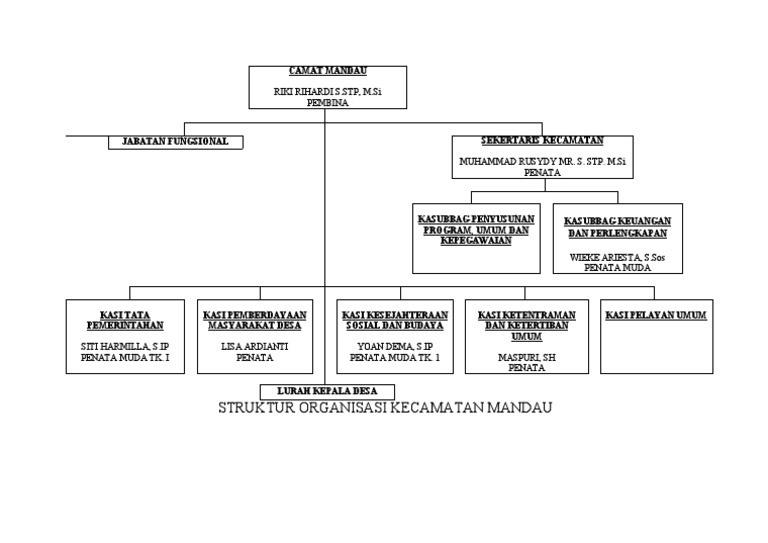 Struktur CAMAT MANDAU | PDF