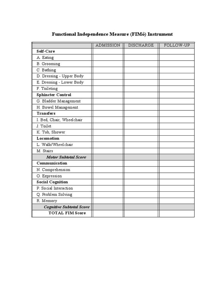 Functional Independence Measure Overview | PDF