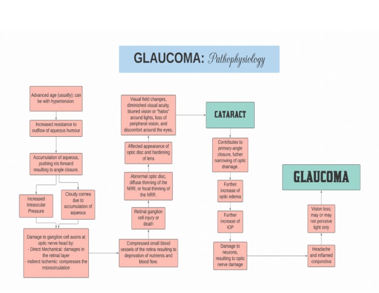 Glaucoma Pathophysiology | PDF