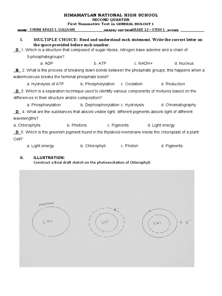 Grade 12 General Biology 1 Exam | PDF | Adenosine Triphosphate ...