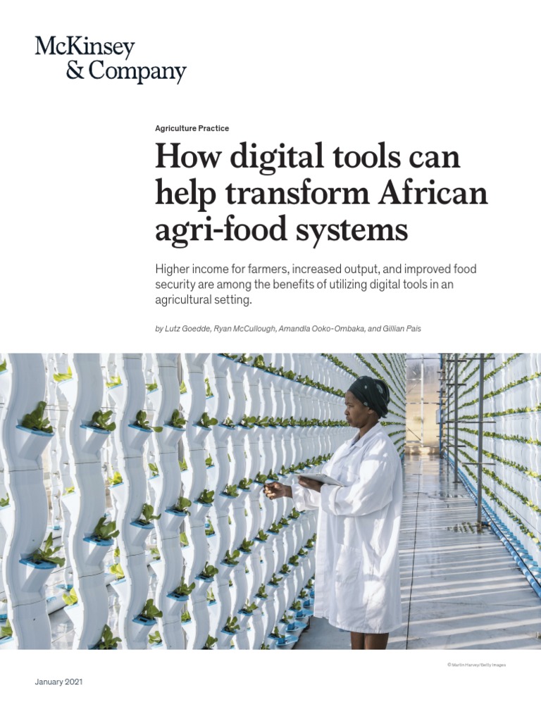 How Digital Tools Can Help Transform African Agri-Food Systems | PDF ...