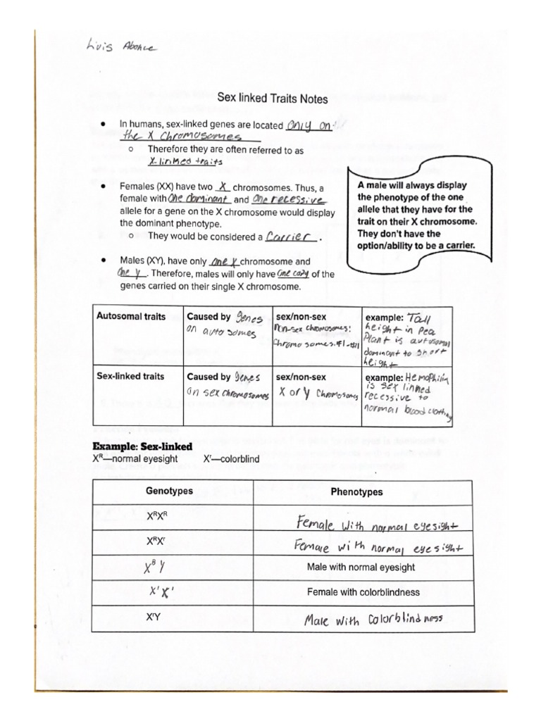 Sex Linked Traits Notes | PDF