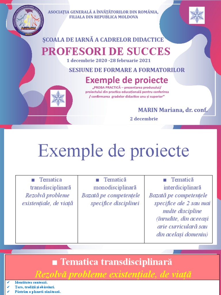 Exemple de Proiecte - MMarin | PDF