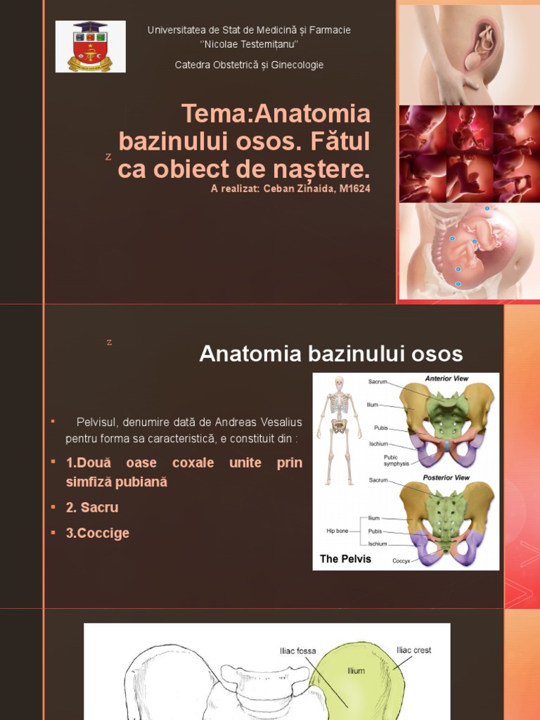 Fatul CA Obiect de Nastere. | PDF