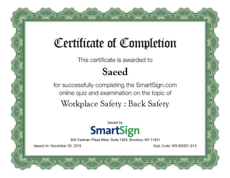 Back Safety Certificate | PDF