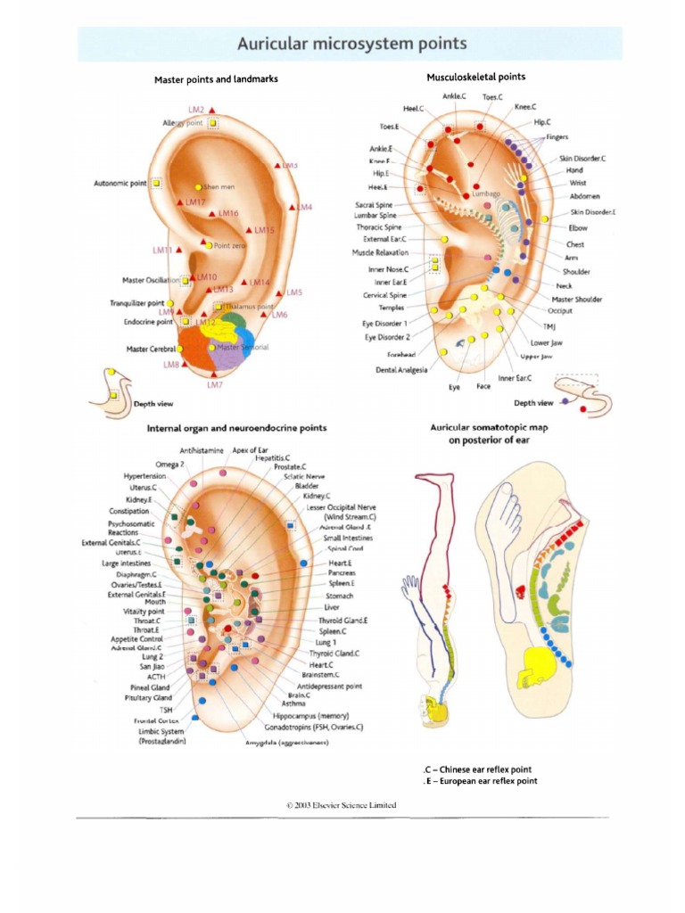 Auricular Acu Chart | PDF