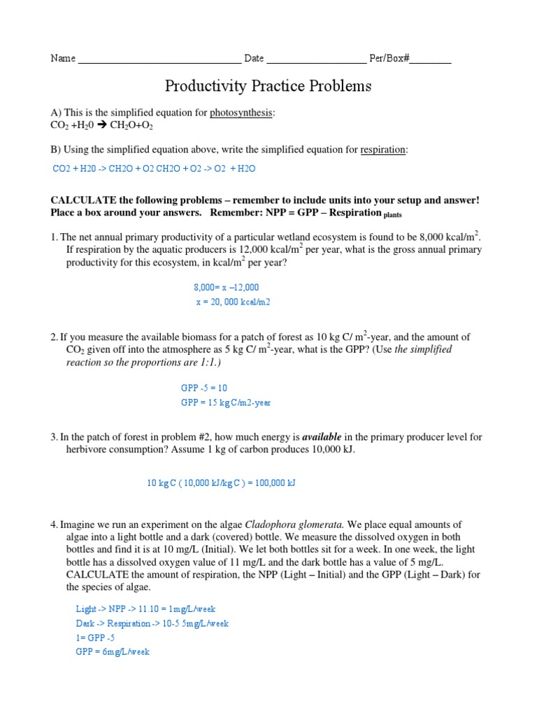 Kami Export - Productivity - Practice - Problems | PDF | Primary ...