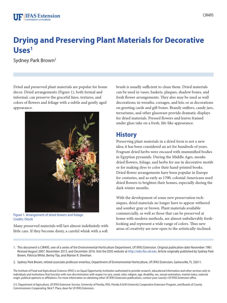 Drying and Preserving Plant Materials For Decorative Uses | PDF | Leaf ...