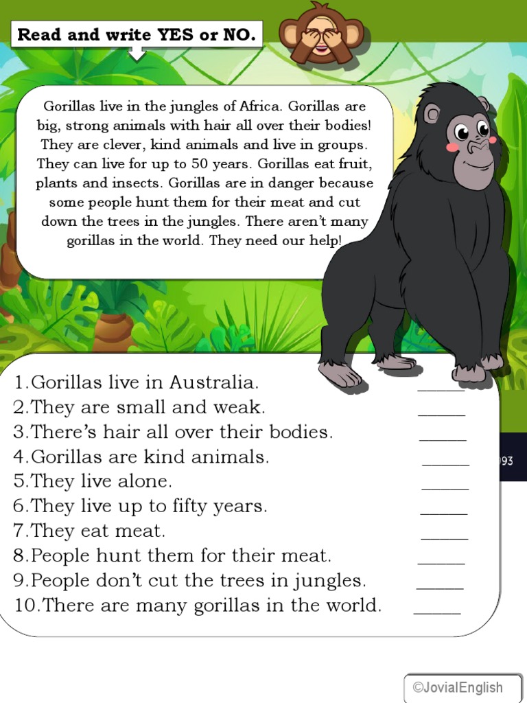 Gorillas | PDF