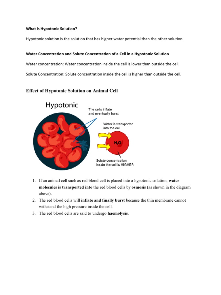 What is Hypotonic Solution | Osmosis | Cell Biology