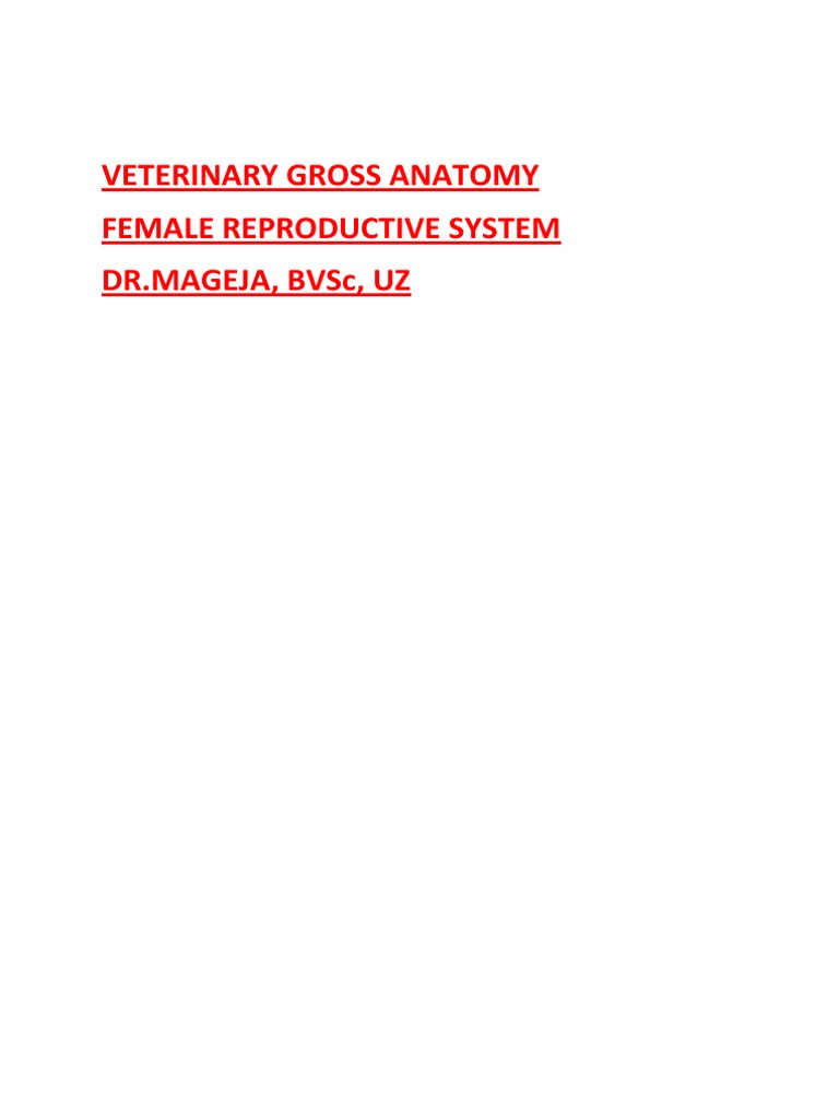 Veterinary Gross Anatomy Female Genital Tract | PDF | Uterus | Vagina