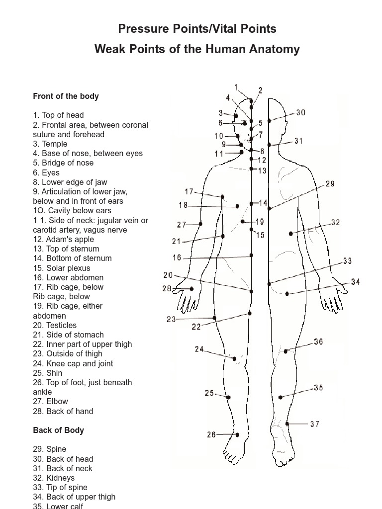 Human Body Weak Points Guide | PDF | Human Nose | Neck