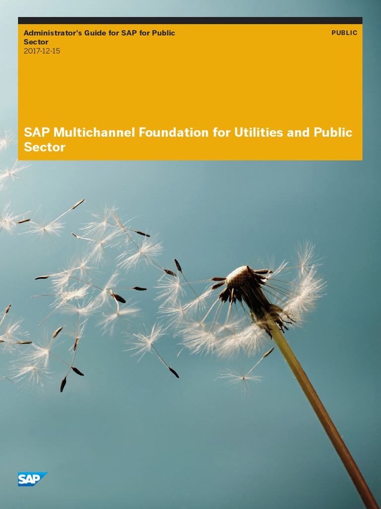 SAP Multichannel Foundation For Utilities and Public Sector | PDF | Class (Computer Programming ...