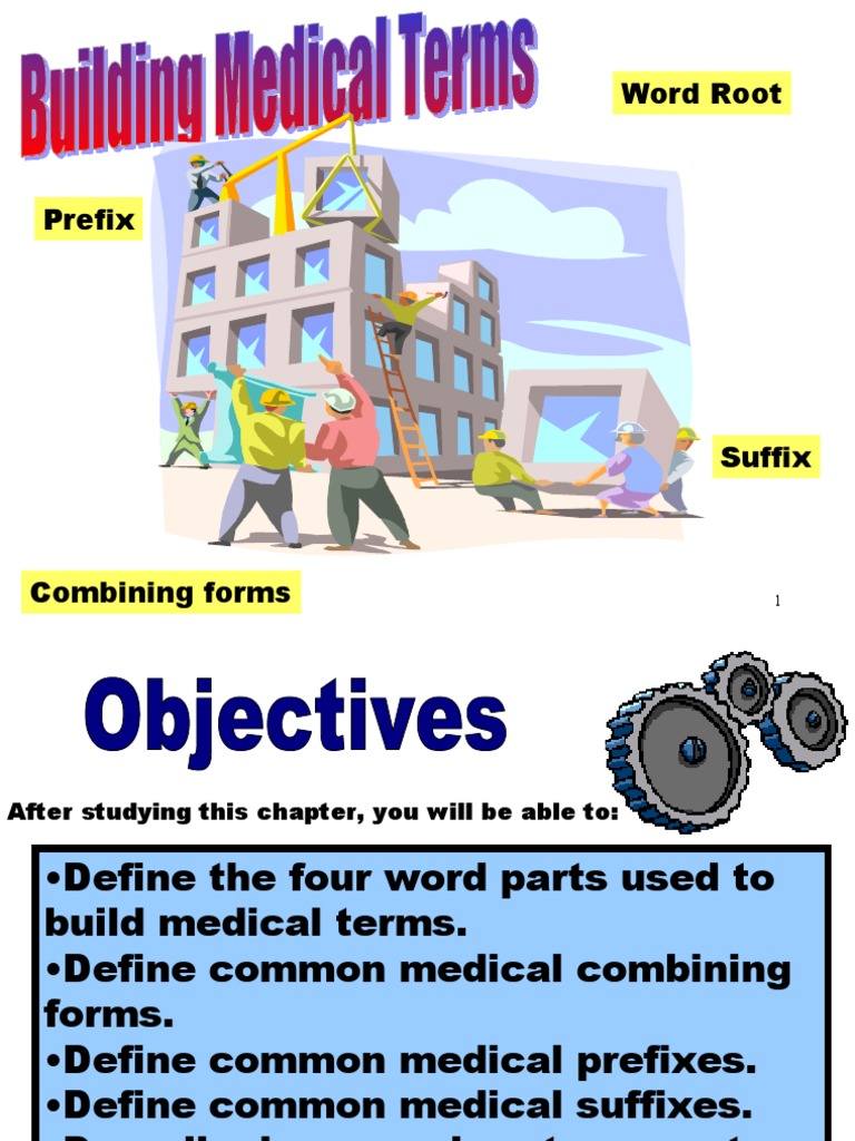 Building Medical Terms: Word Root | PDF | Clinical Medicine | Medical ...