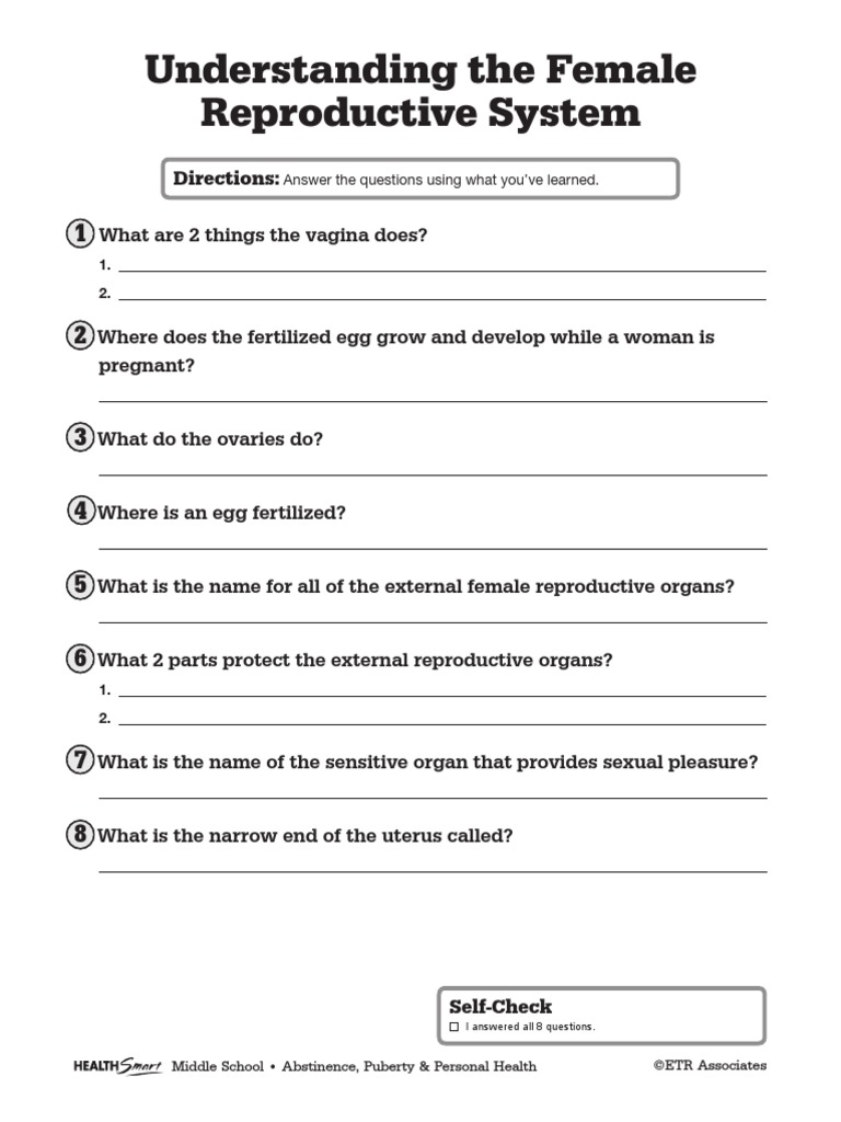 Understanding The Female Reproductive System WS | PDF | Self ...