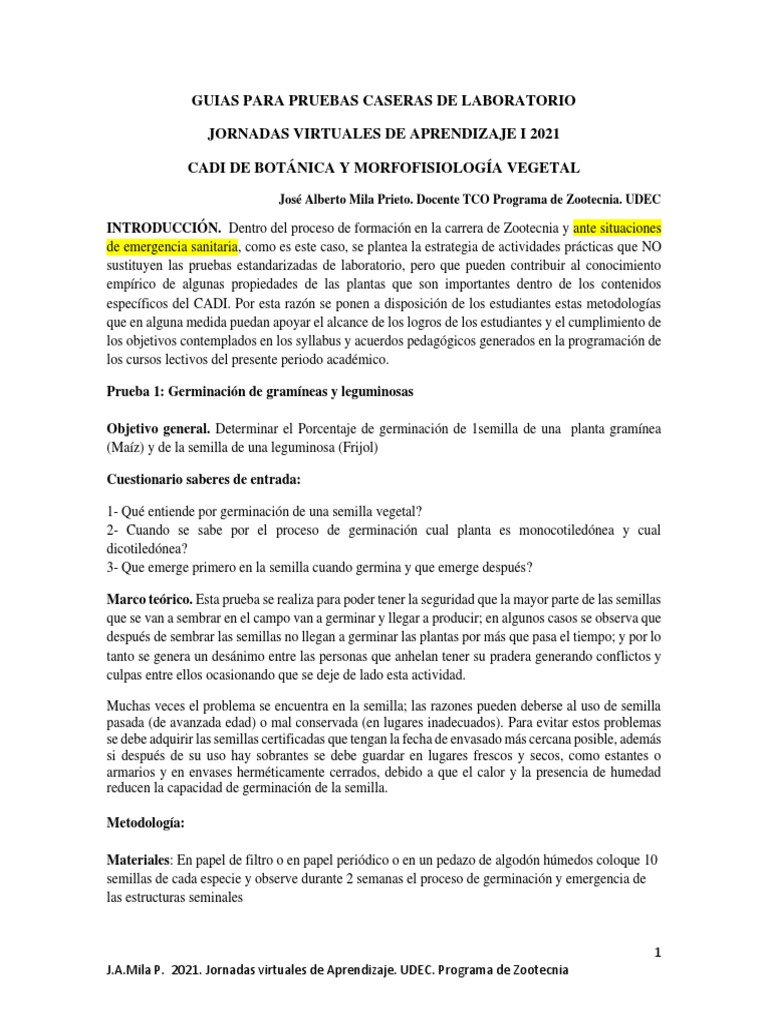 Guias para Pruebas Caseras de Laboratorio 2021 Morfo | PDF | Hoja | Agua