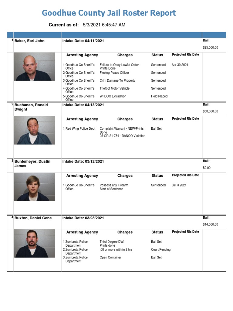 Jail Roster Internet | PDF | Bail | Driving Under The Influence