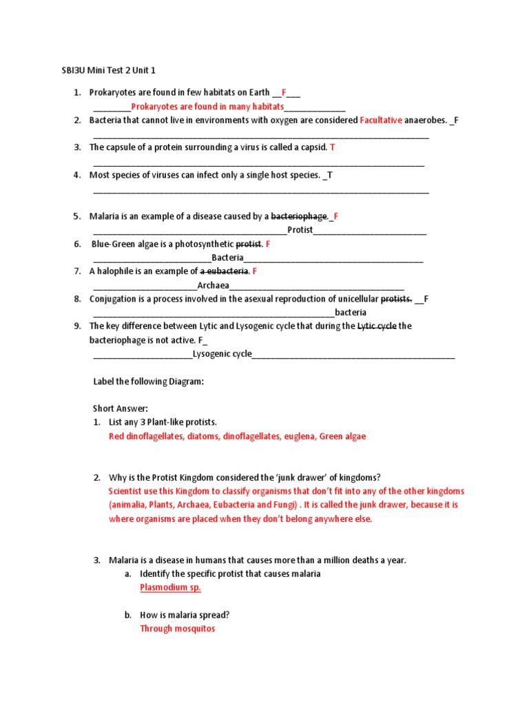Sbi3u Mini Test 2 Unit 1 Answers | PDF | Bacteria | Gram Positive Bacteria
