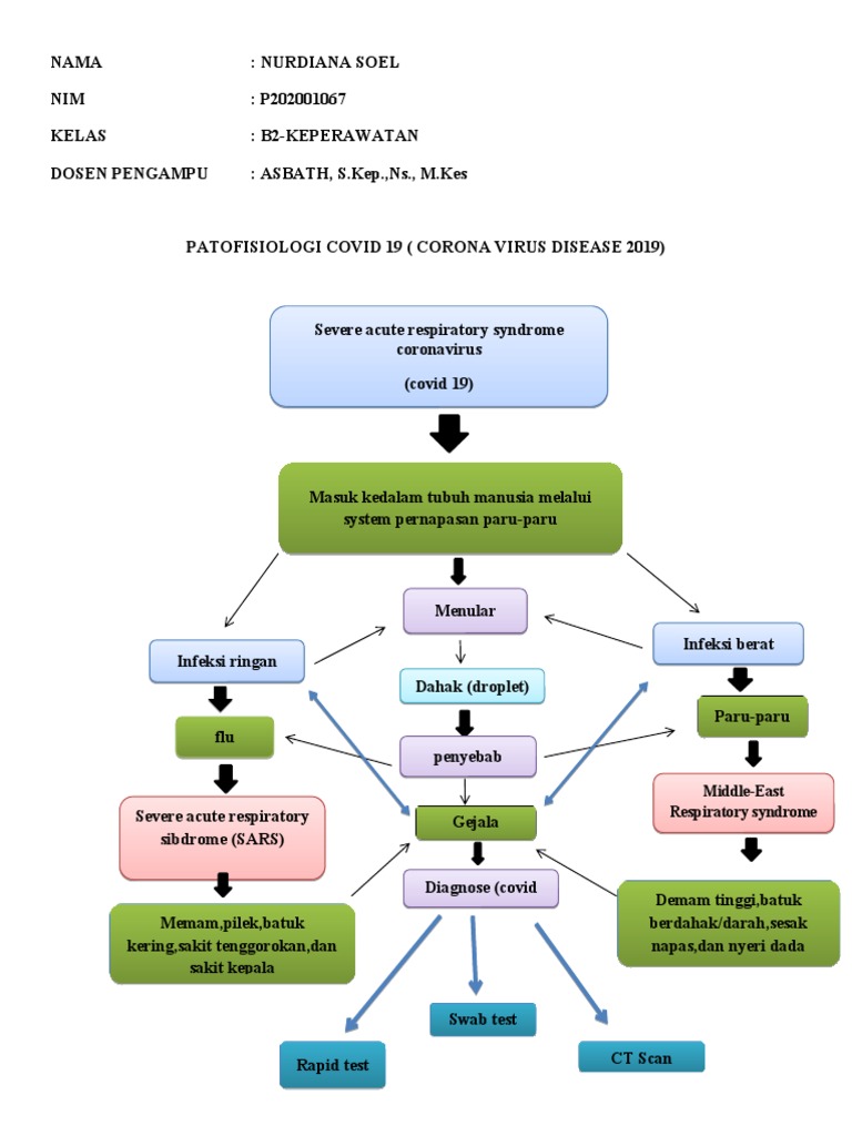 Bagan Patofisiologi Nurdiana Soel | PDF