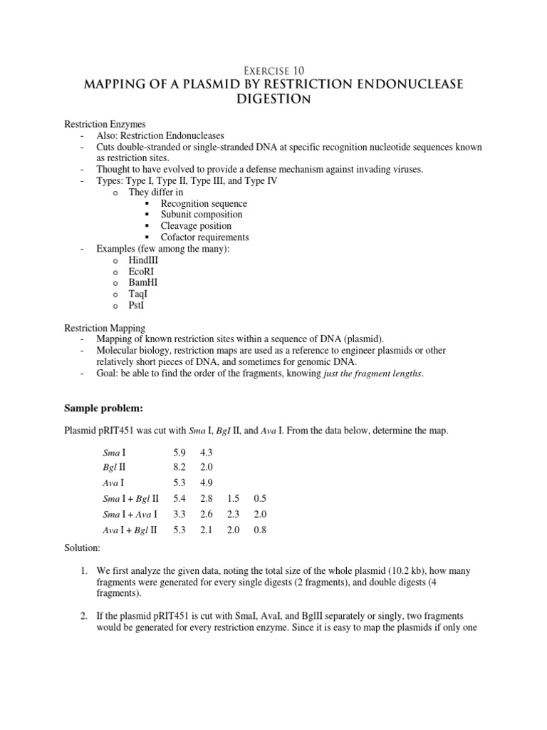 A Step-by-Step Guide to Restriction Mapping of Plasmid DNA | PDF ...