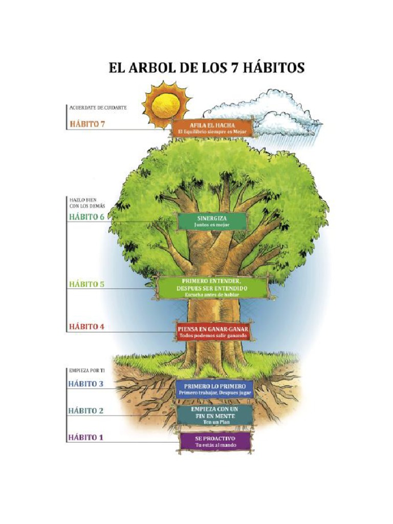 El Arbol de Los 7 Habitos | PDF