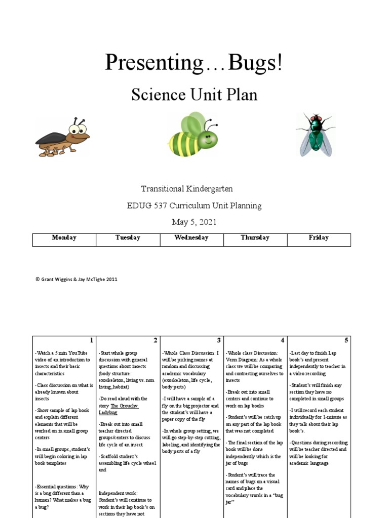 Stage 1 2 and 3 Insects Unit | PDF | Insects | Educational Assessment