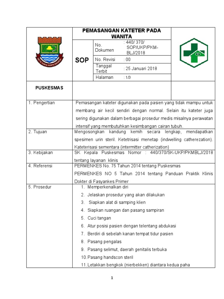 Sop Pemasangan Kateter Pada Wanita | PDF