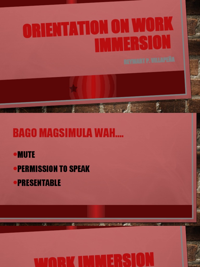 Orientation On Work Immersion | PDF