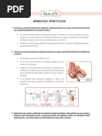 21 Signos de Exploracion Abdominal | PDF | Abdomen | Gastroenterología