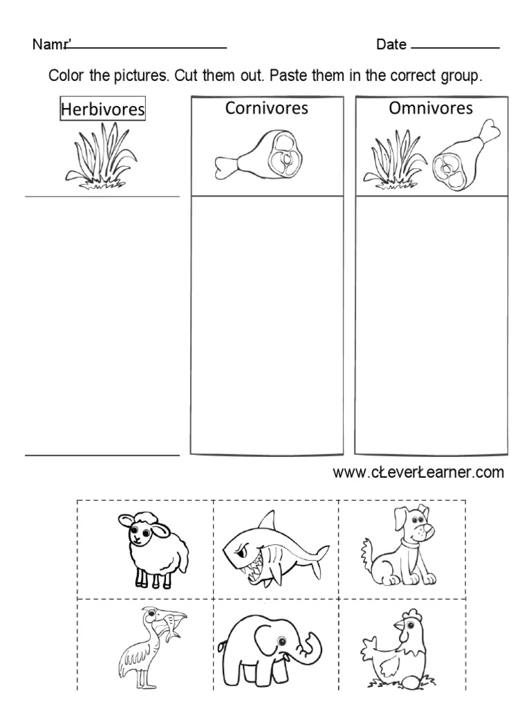 Herbivores Carnivores Omnivores 07 Preschool Activity | PDF