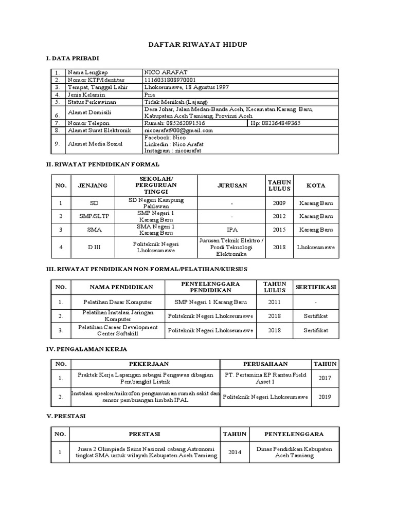 Contoh Format CV Cpns | PDF